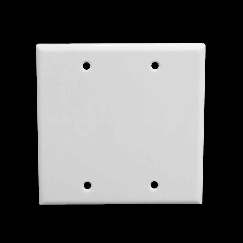 Weltron Double Gang Blank Faceplate White